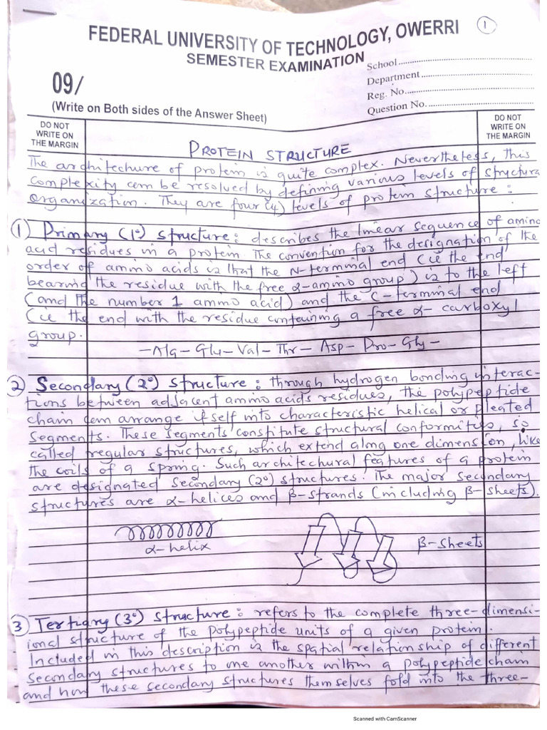 Bch 202 Protein Structure Pdf