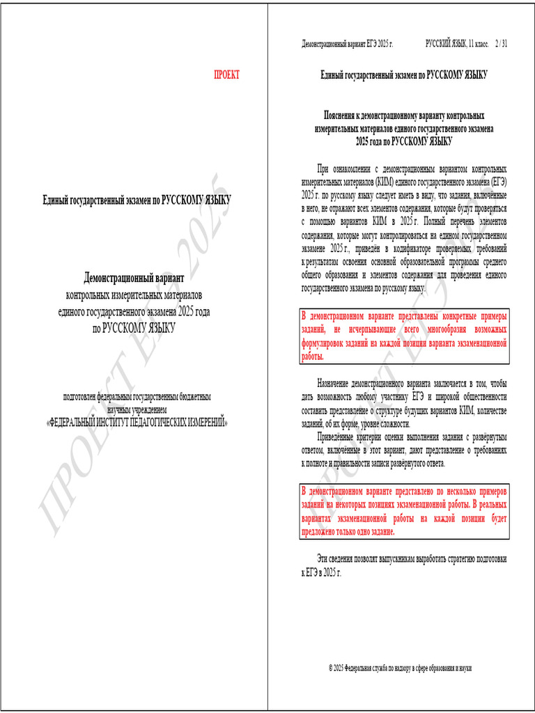 Ru-11 Ege 2025 Demo | PDF