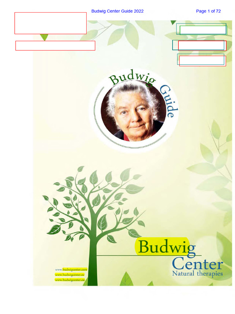 Budwig Complete Guide For Cancer (Flax Seed Oil Cottage Cheese) (Z ...