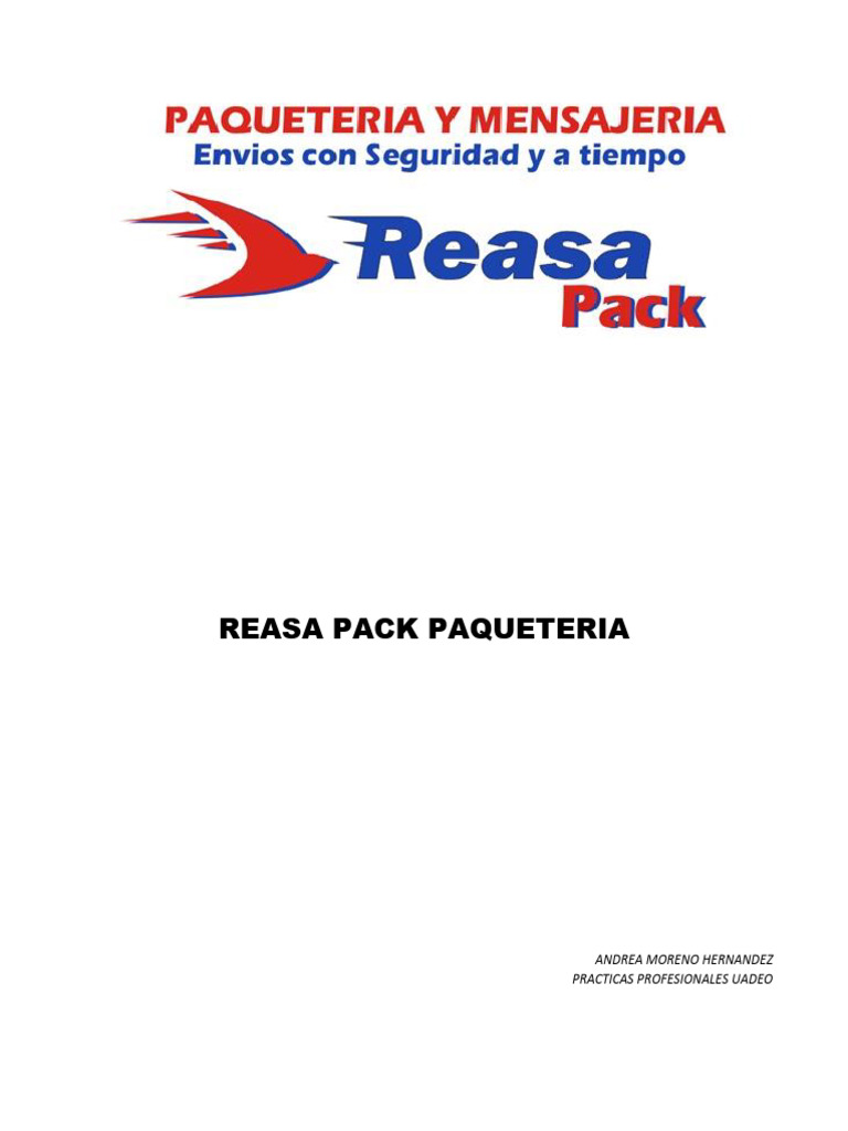 Reglas Reasa Pack Paqueteria | PDF
