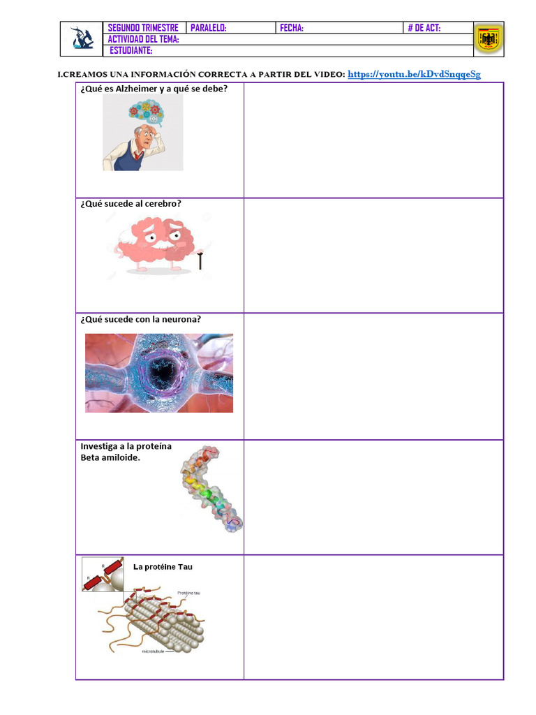 Act-Sistema Nervioso Ii | PDF