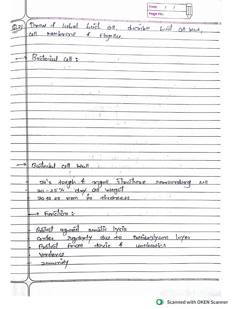 Micro Assignment PDF 1 | PDF