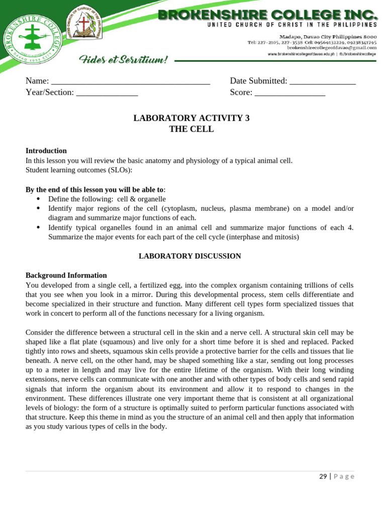 Laboratory Activity No. 3 | PDF