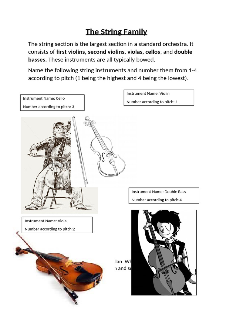 The String Family2 | PDF