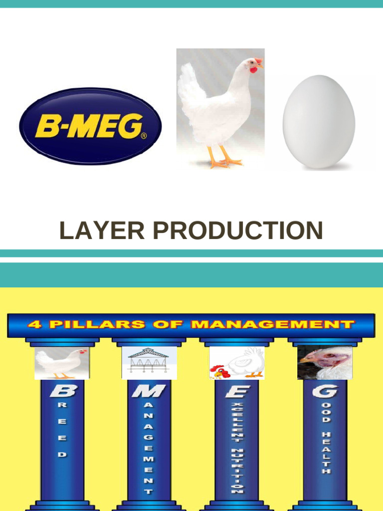 Layer Production Summary | PDF