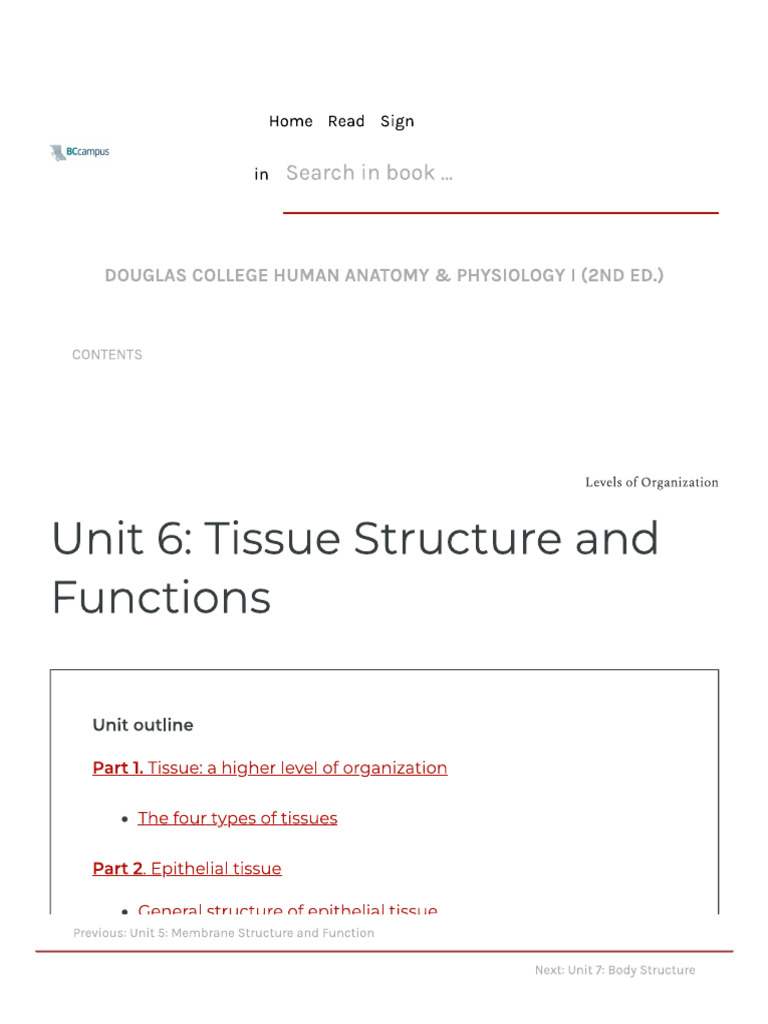Tissue Structure and Functions | PDF