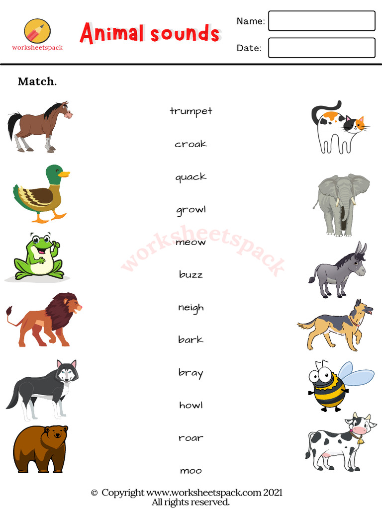 Animal Sounds Worksheets Match Picture To Word | PDF