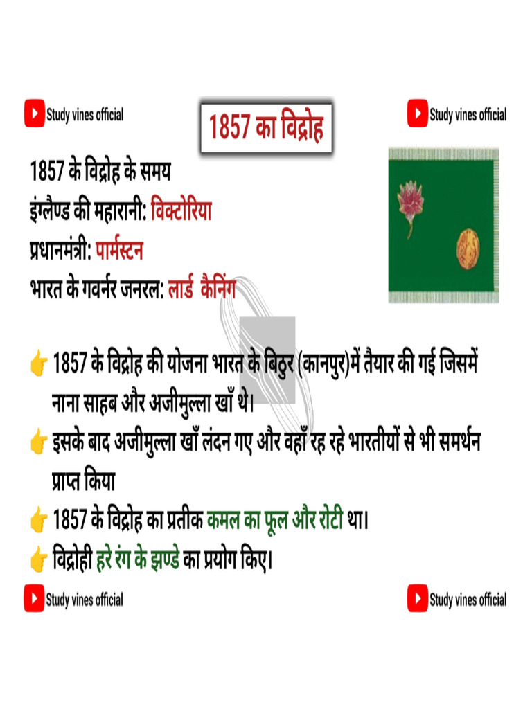 Study Vines Official | PDF