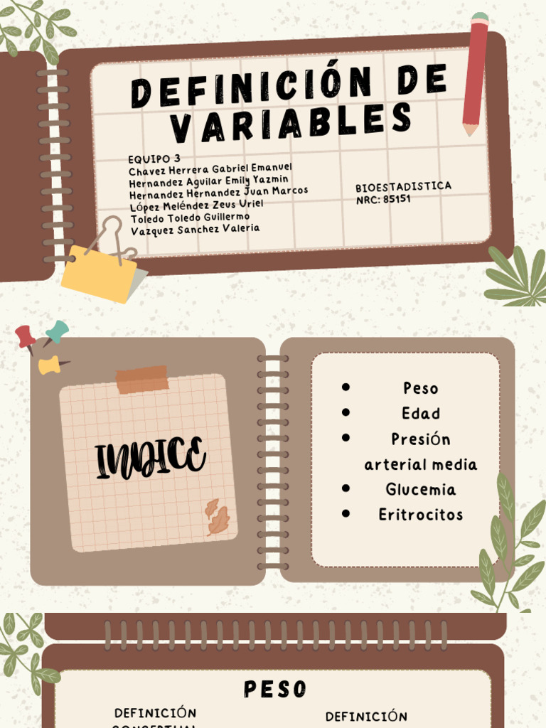 DefinicionVariables Equipo3 | PDF