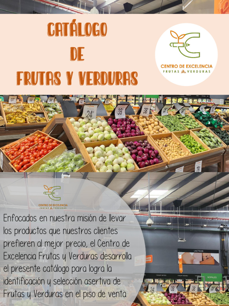 Cátalogo Identificador Descargable 2023 CEFV | PDF