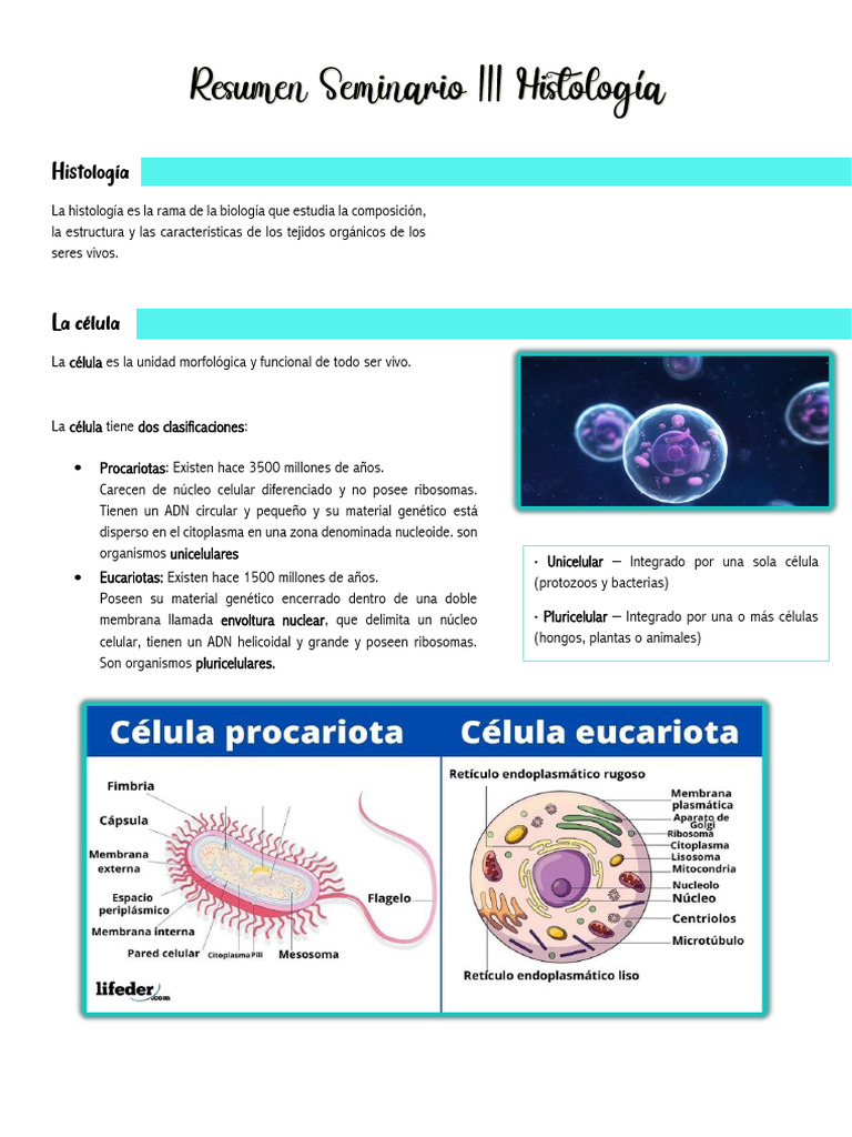Resumen Seminario 3 - La Celula & El Núcleo Celular - Histologia | PDF
