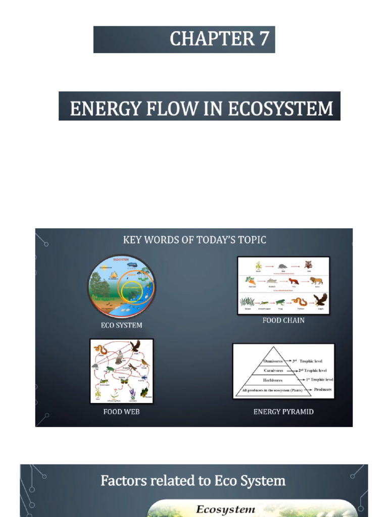 9th Chapter 7 Energy Flow in Eco System | PDF
