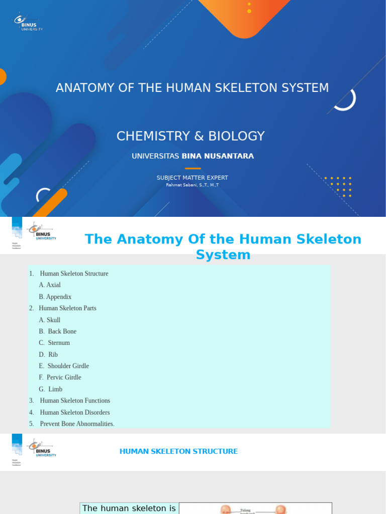 CB Anatomi of Human Skeleton PPT Week 1-Edit | PDF