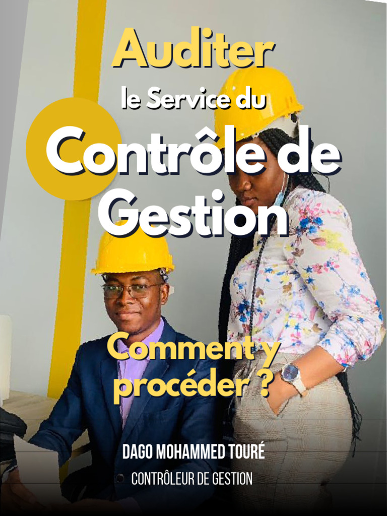 Auditer Le Service Contrôle de Gestion | PDF