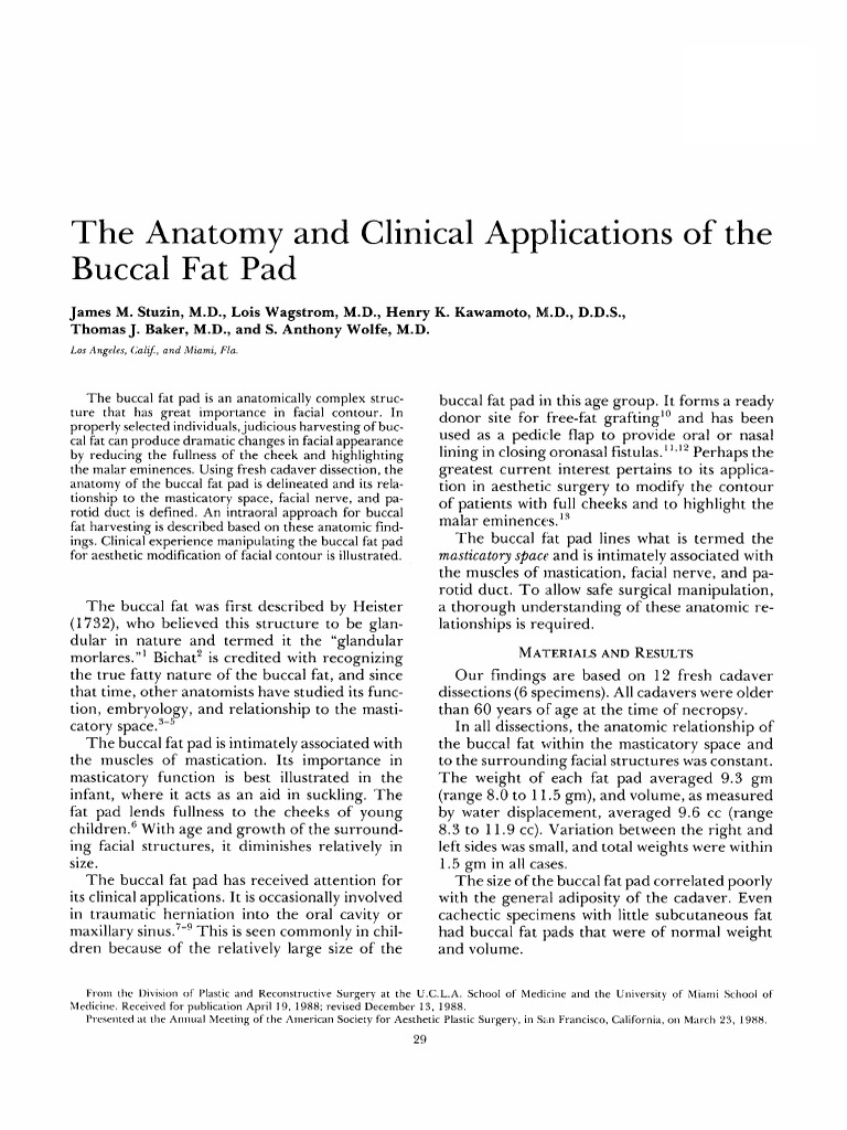 The Anatomy and Clinical Applications of The.6 | PDF