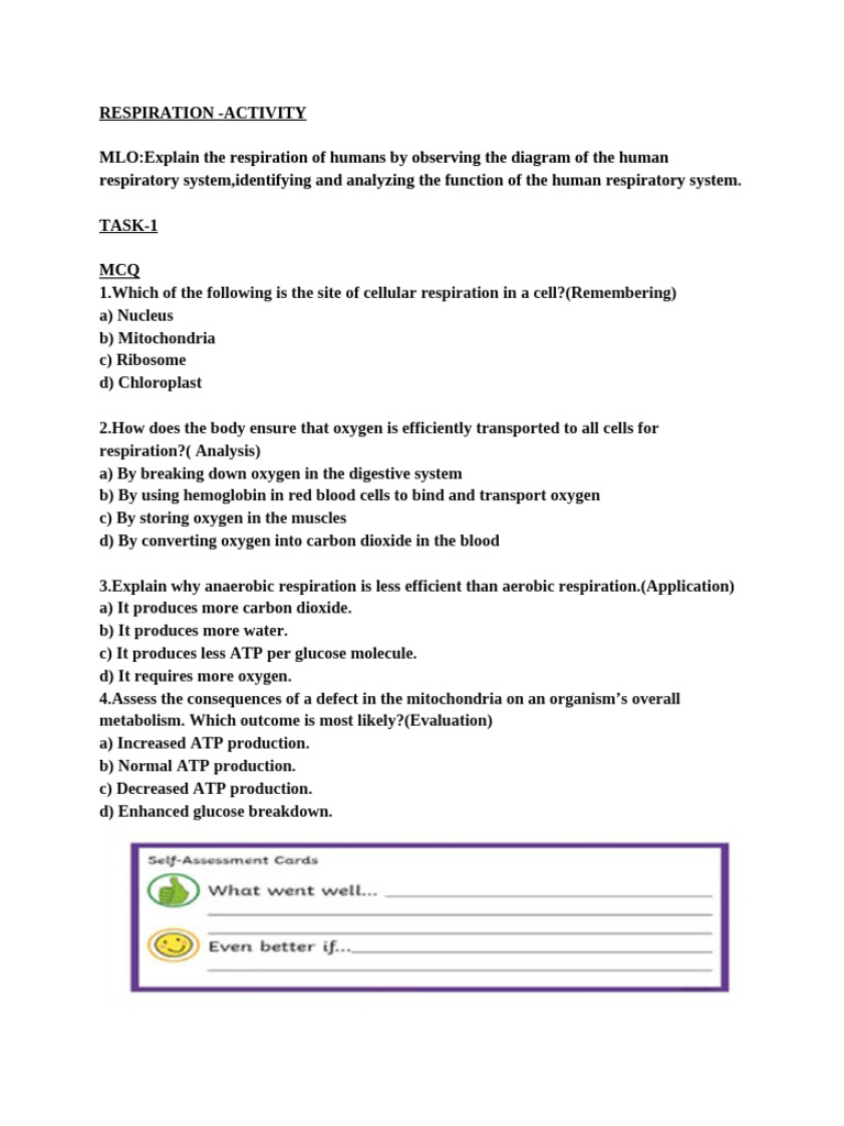 Respiration Activity | PDF