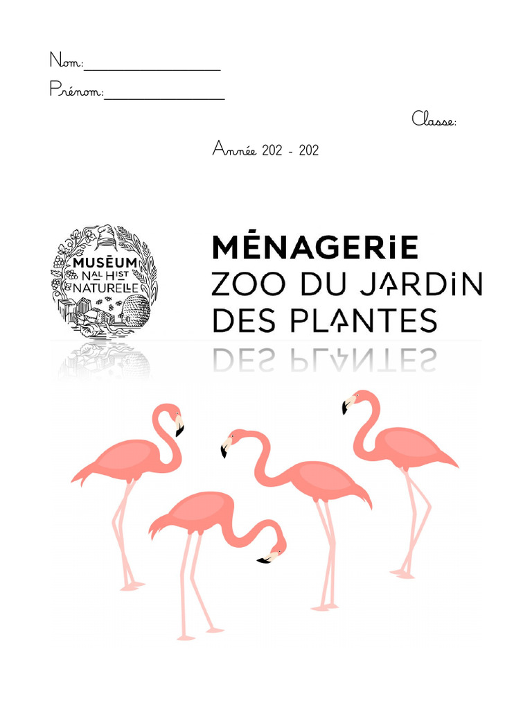 Activités Zoo | PDF