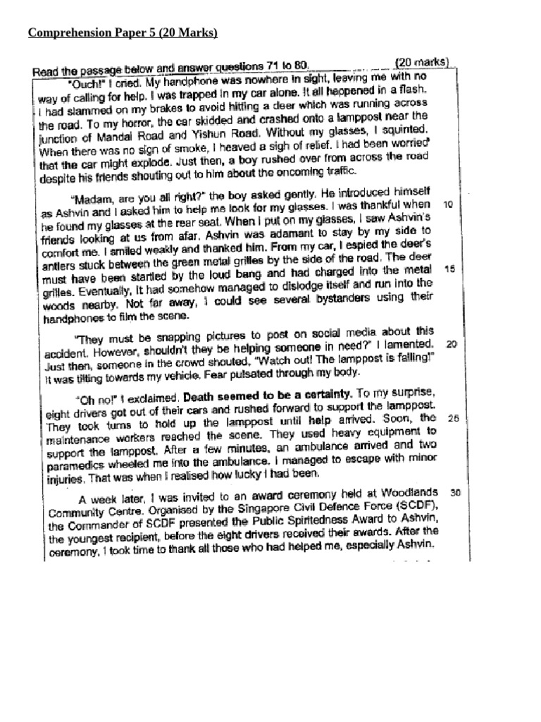 Comprehension Paper 5 | PDF