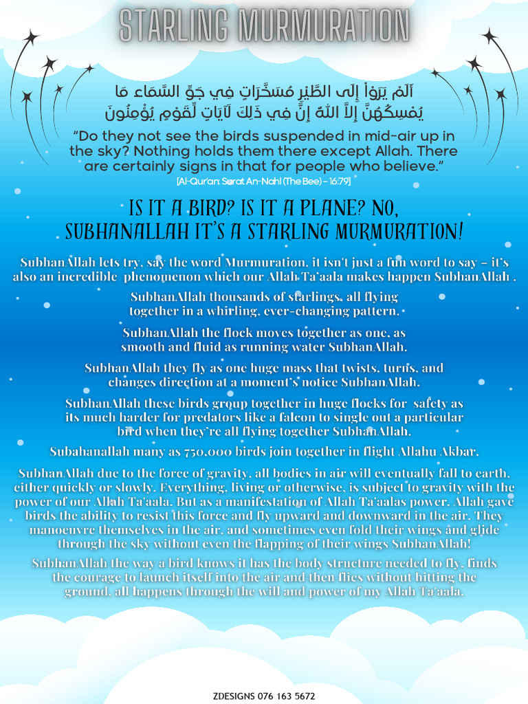 Starling Murmuration - Imaan Mudhakarah Worksheet | PDF