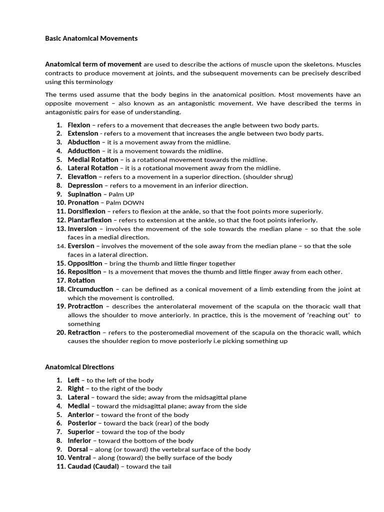 Basic Anatomical Movements | PDF