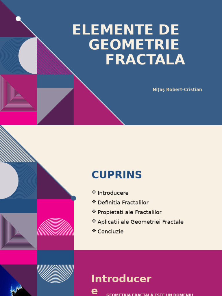 Proiect Fizica | PDF