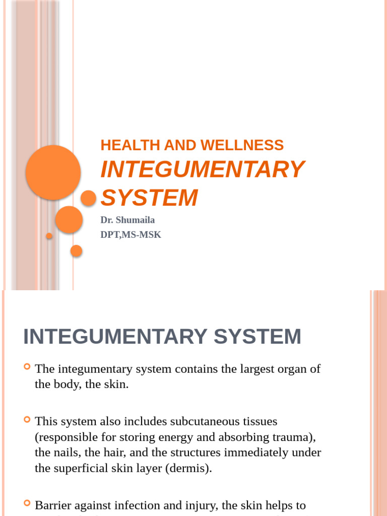Lec 3 - Integumentary System | PDF