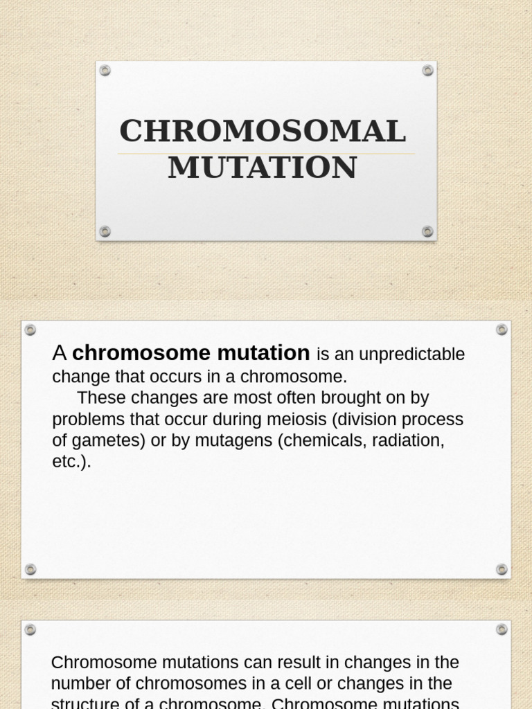Chromosomal Mutation | PDF