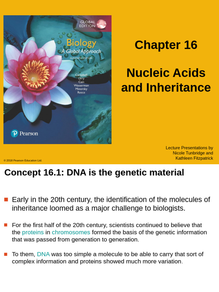 Ch16 Accessible Lecture Presentation Student | PDF