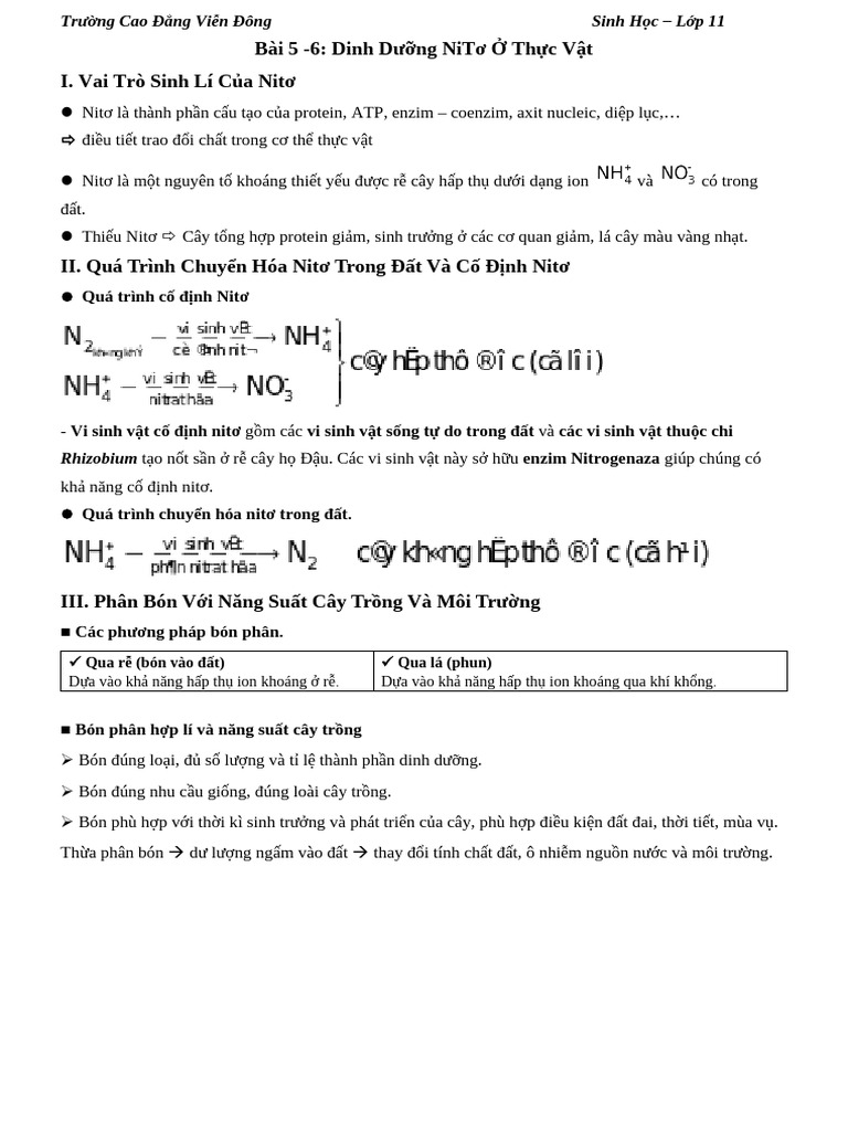 Bài 5-6 - SinhHoc11 | PDF