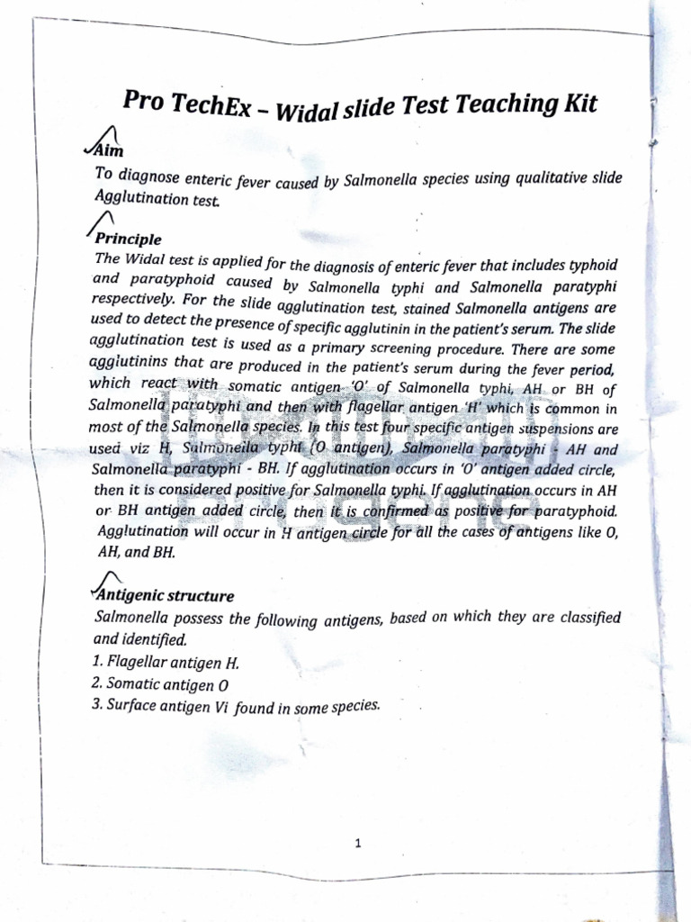 Widal Test | PDF