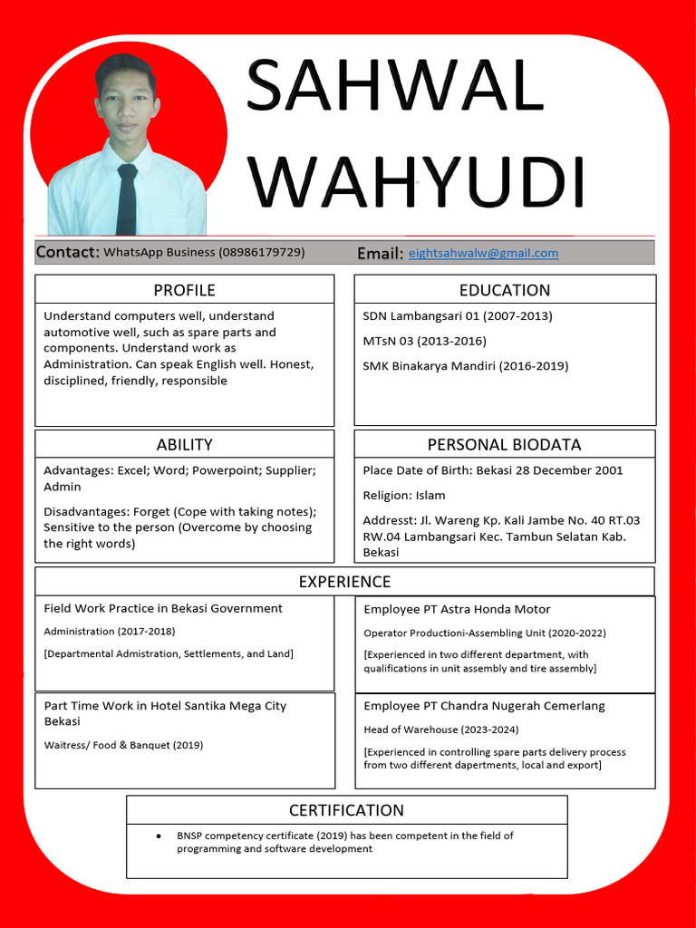 Curriculum Vitae English | PDF