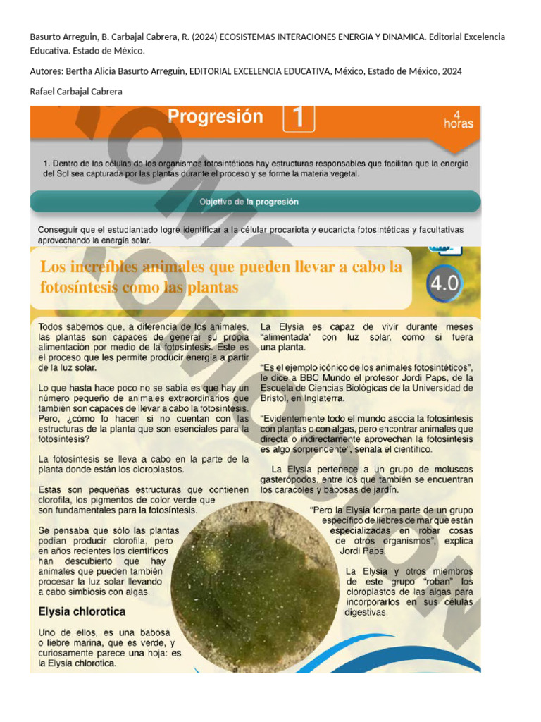 Cuadernillo de Lecturas Ecosistemas Interaciones Energia y Dinamica | PDF