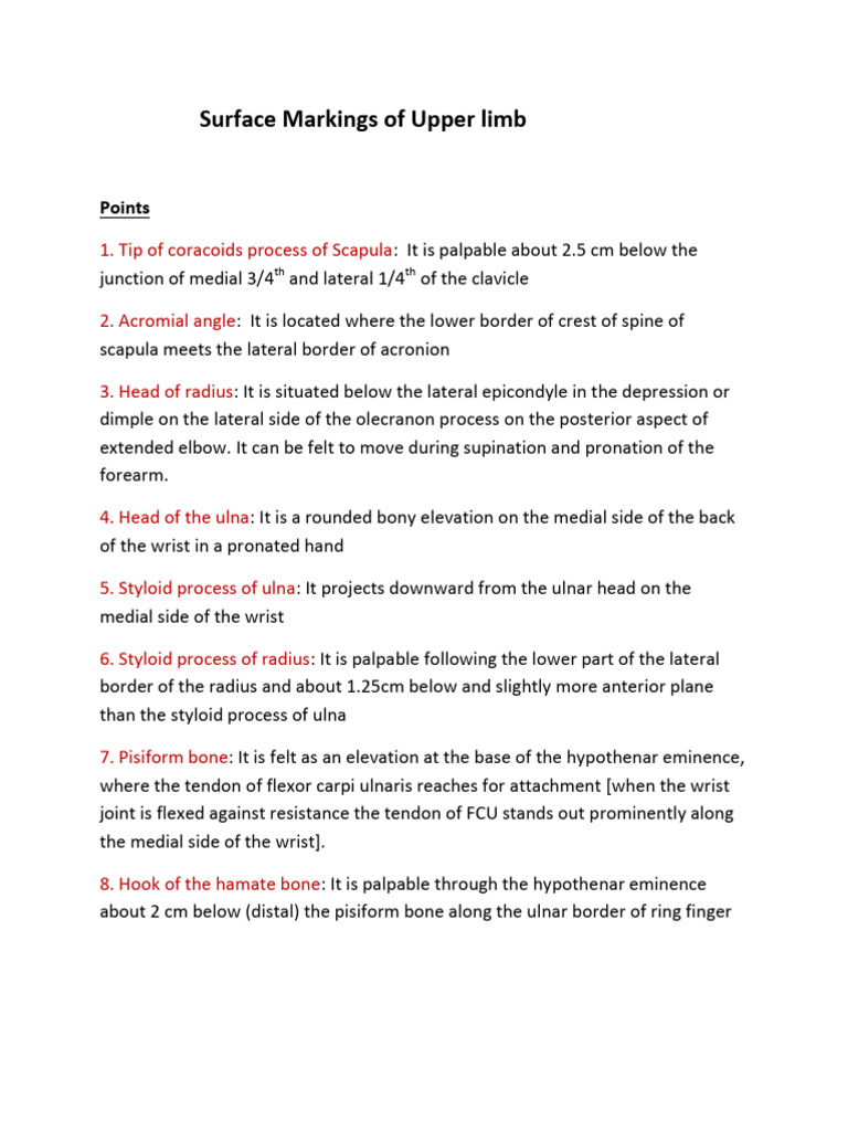 Upper limb surface marking | PDF