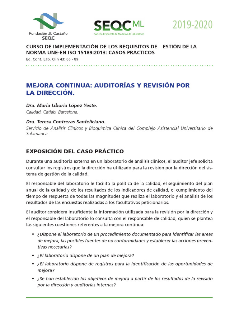Mejora Continua Auditorías Y Revisión Por La Dirección Pdf