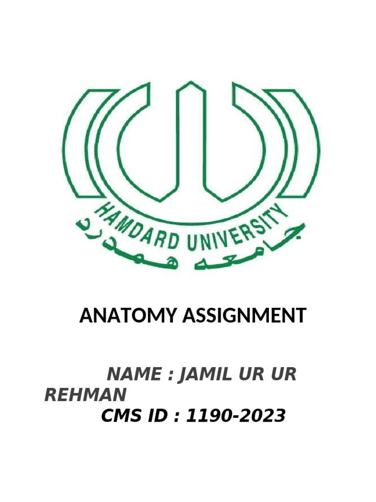 Anotomy Assignment Pdf