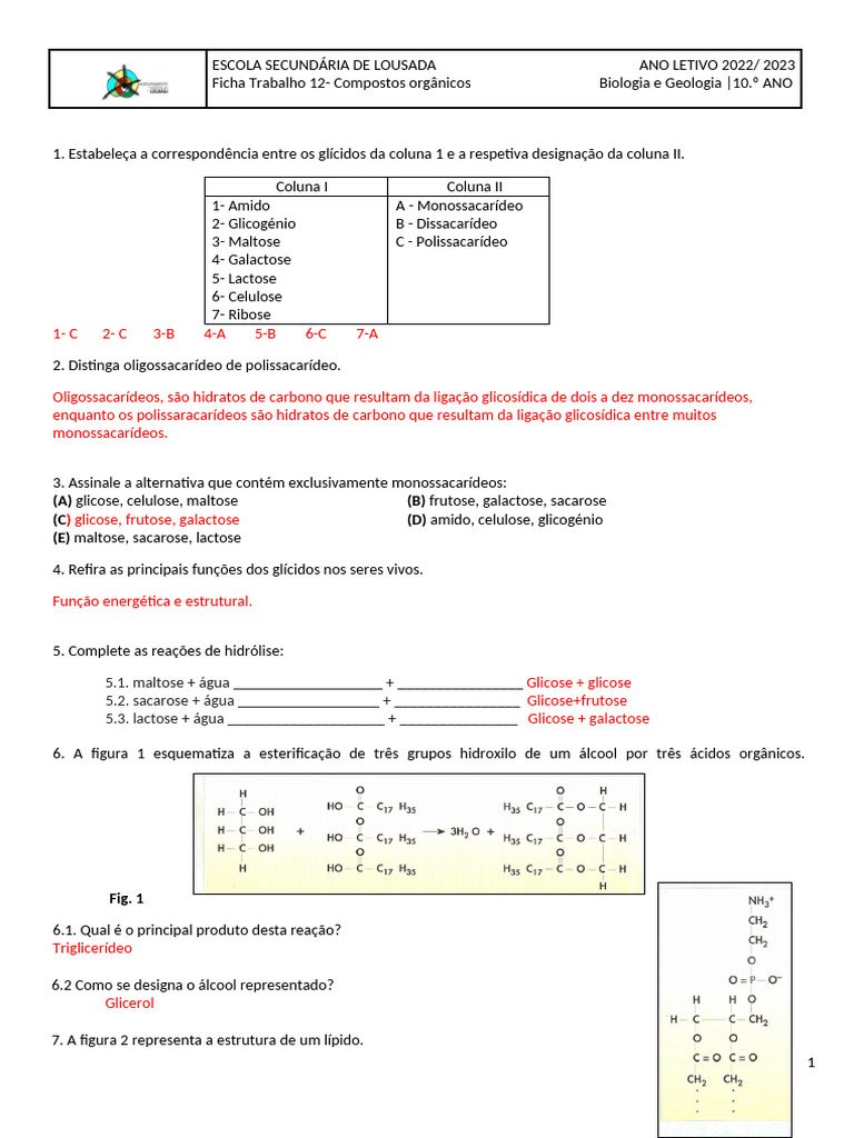 Ficha 12 Correção Pdf