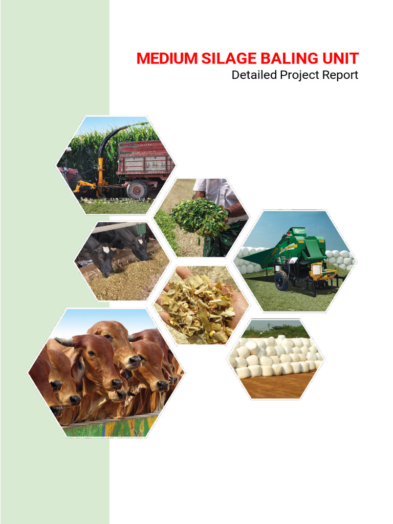Detailed Project Report of MINI SILAGE BALING UNIT | PDF
