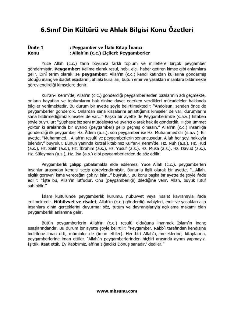 558 Be 549 BBR | PDF