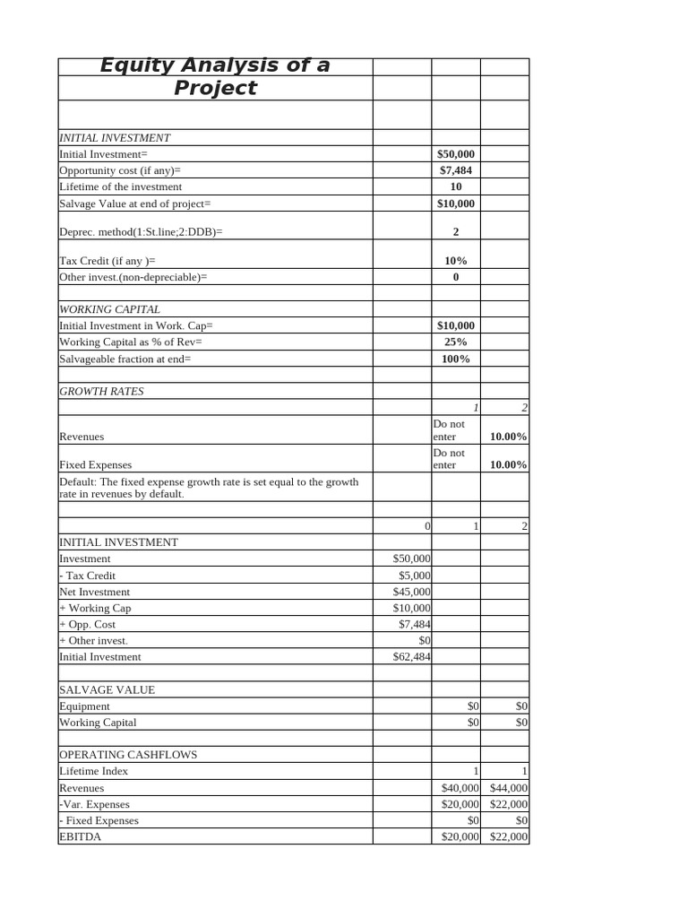 Equity Analysis of A Project: Initial Investment | PDF