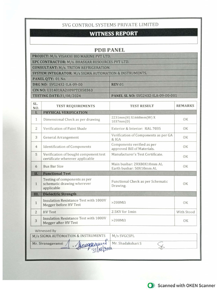 Witness Report | PDF