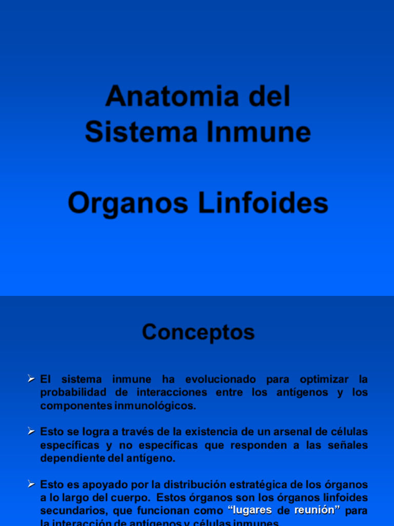 1 Anatomía Del Sistema Inmune | PDF