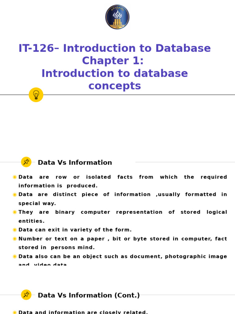 IT126 - Chapter 1 - Introduction To Database Concepts | PDF
