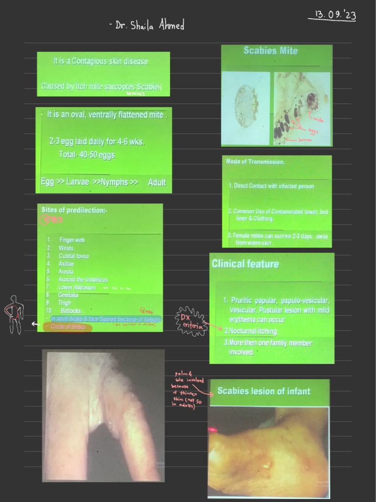 Lecture Scabies | PDF