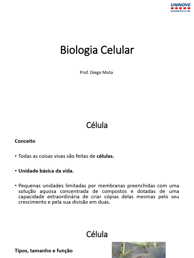 Aula 2 | PDF