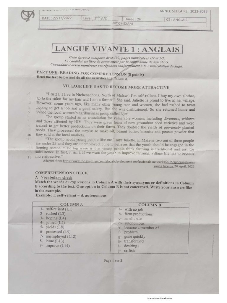 Devoir D'anglais LV1 2nde GSFa | PDF