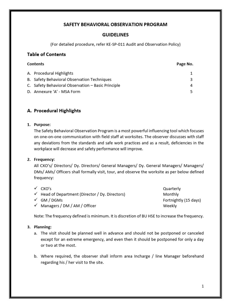 Safety Behaviroral Observation Program Guidelines | PDF