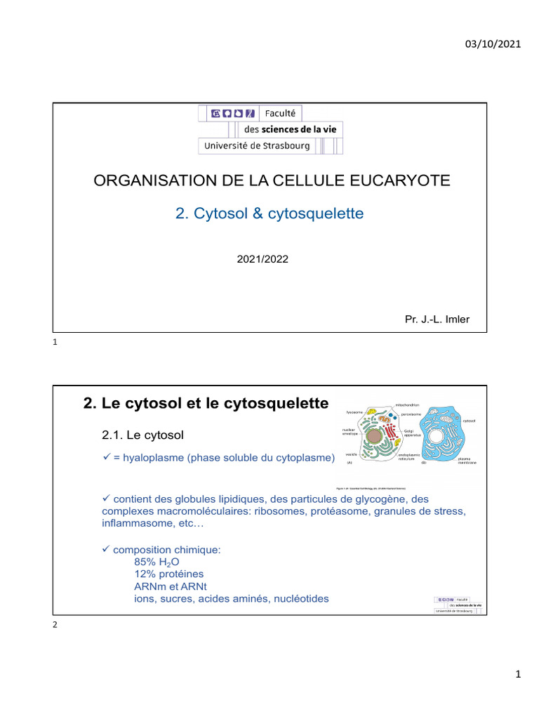 2021__L1_BBC_cytosol-cytosq | PDF