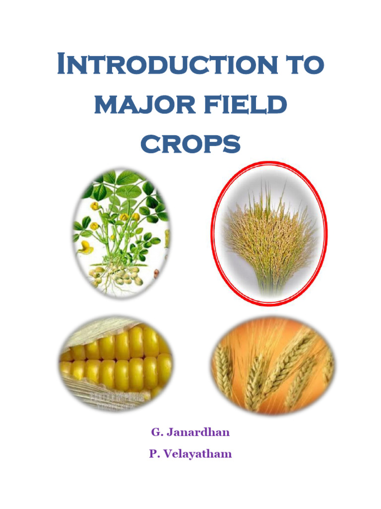 Introduction To Major Field Crops | PDF
