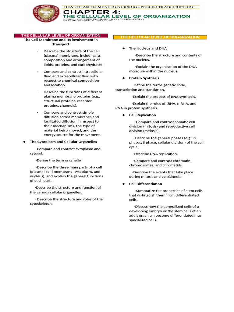 Cellular and Tissue Level of Organization | PDF