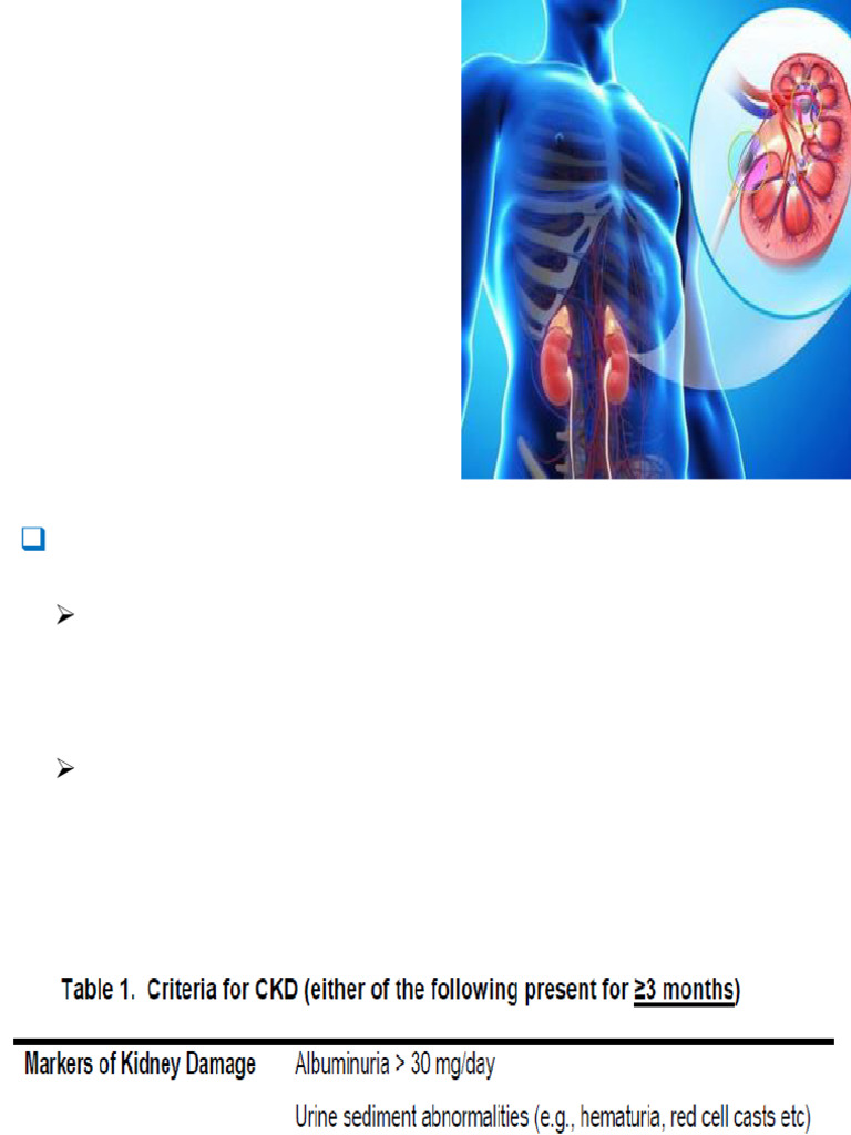 CKD | PDF
